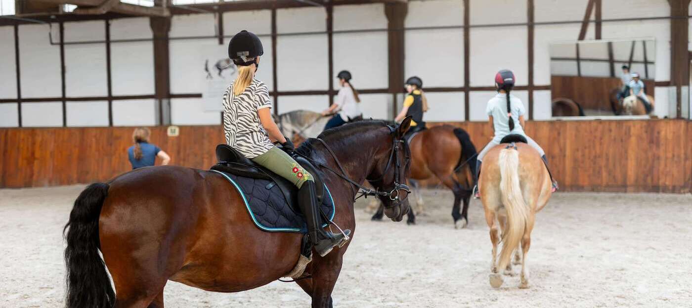 Equestrian Security Systems | Protecting Horses & People